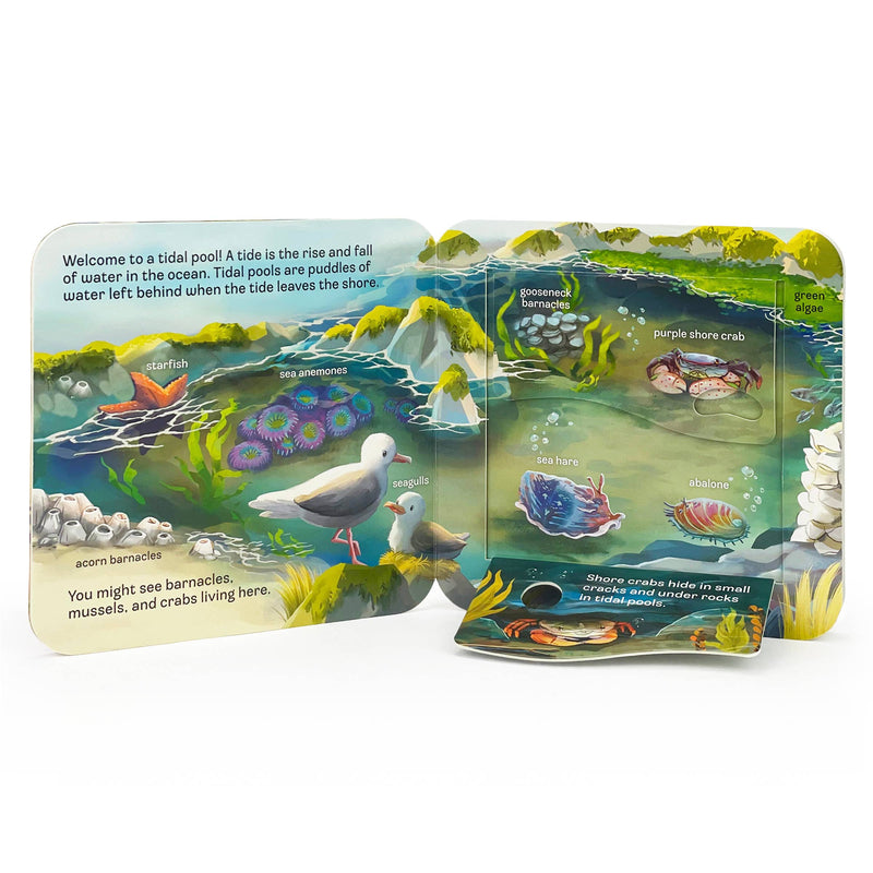 Ocean Interactive Lift-a-Flap Board Book – Casa Ancora Home Decor & More